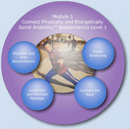 Spiral Anatomy Biomechanics and Mind-Energy Training for Tai Chi ...